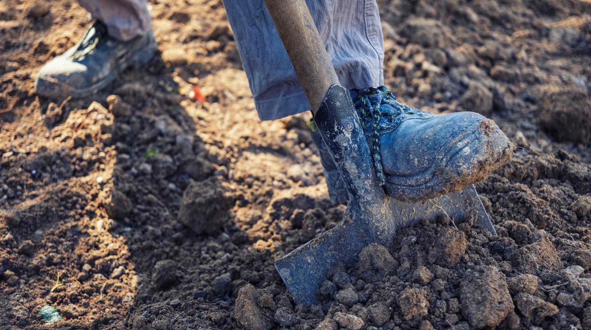 How To Improve Soil Drainage | Buckinghamshire Garden Design