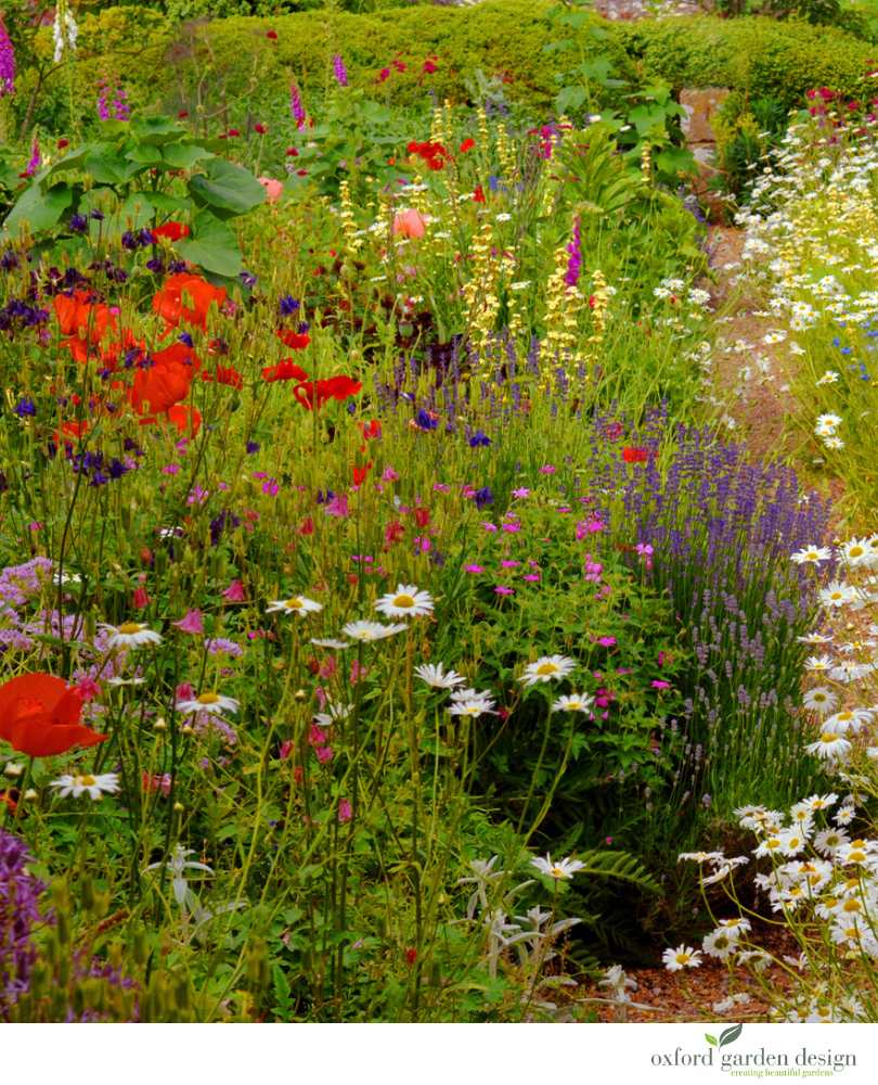 What is No Dig Gardening? | Buckinghamshire Garden Design
